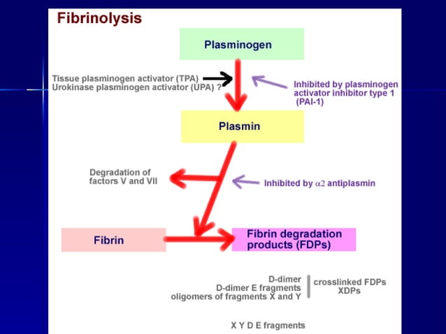 Physiologulation | PPT