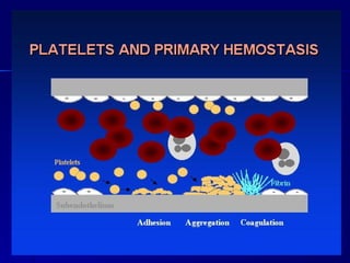 Physiologulation | PPT
