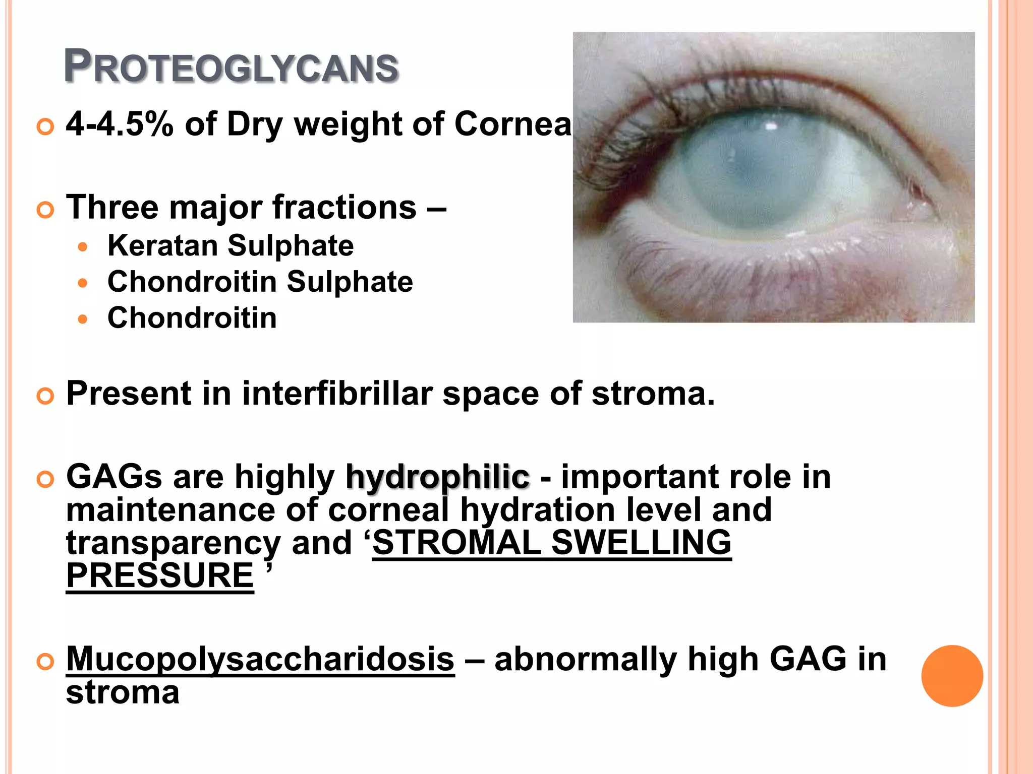 Physiology of cornea | PPTX