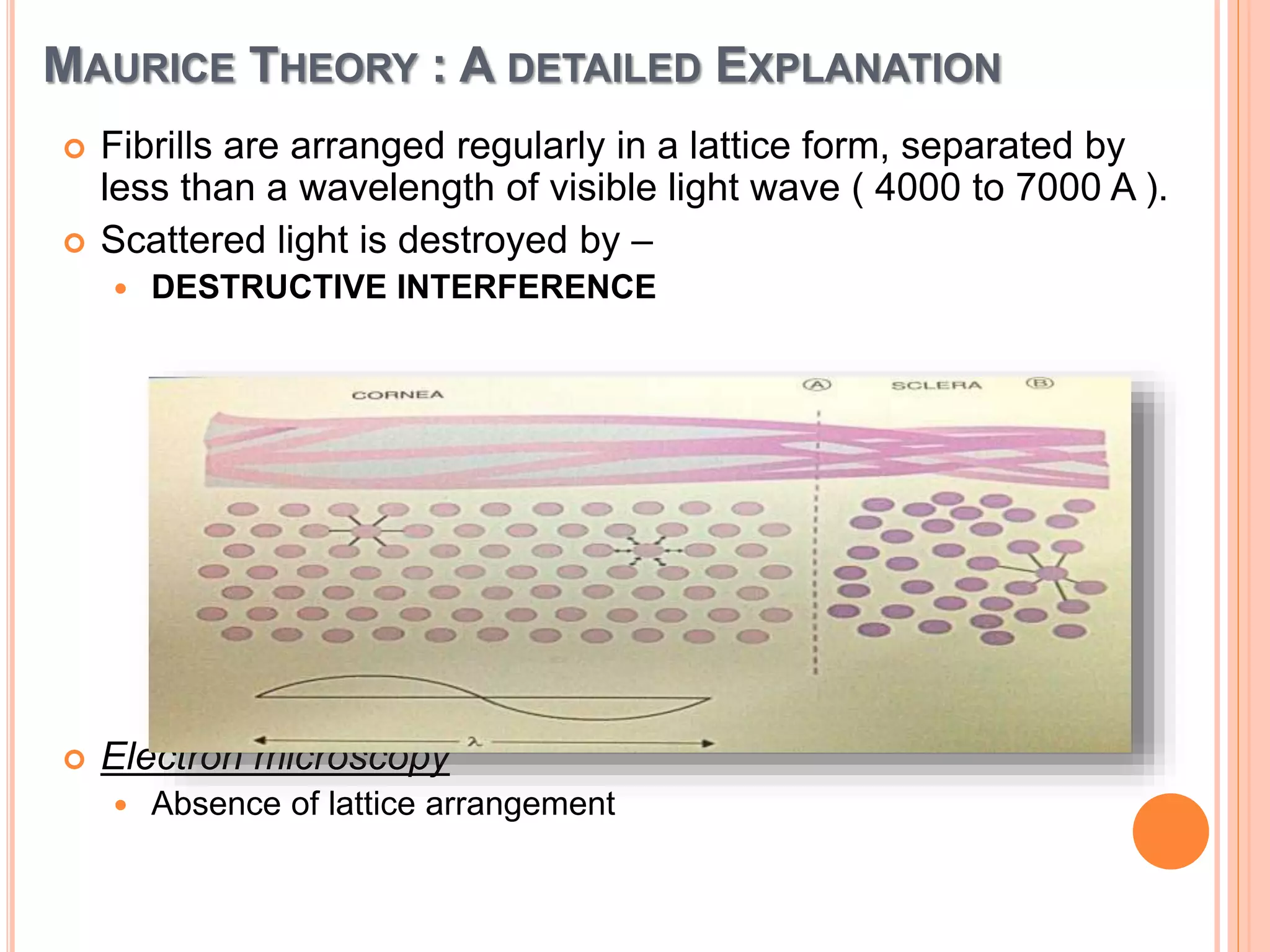 Physiology of cornea | PPTX