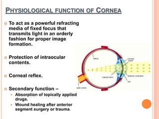 Cornea Function