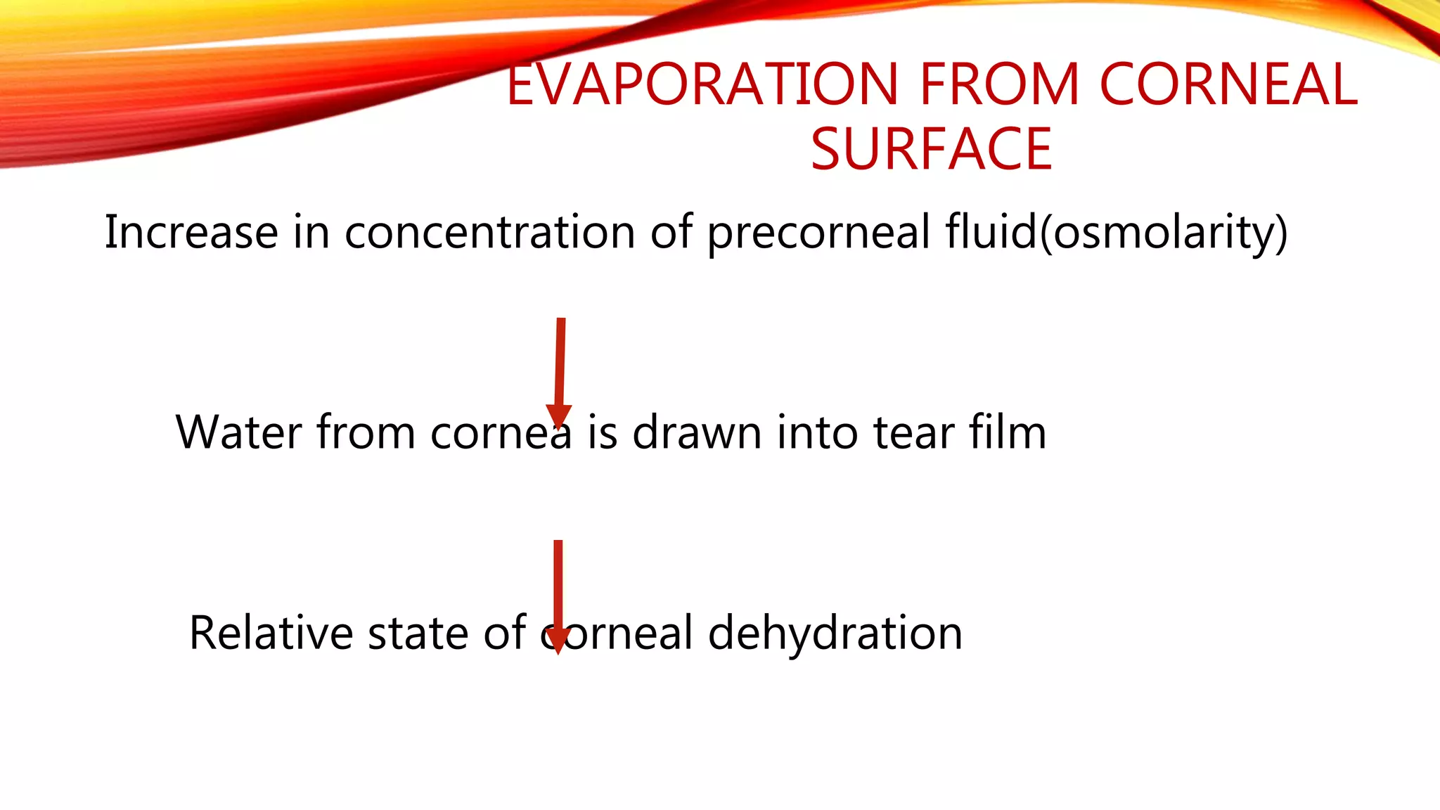 Physiology of cornea | PPTX