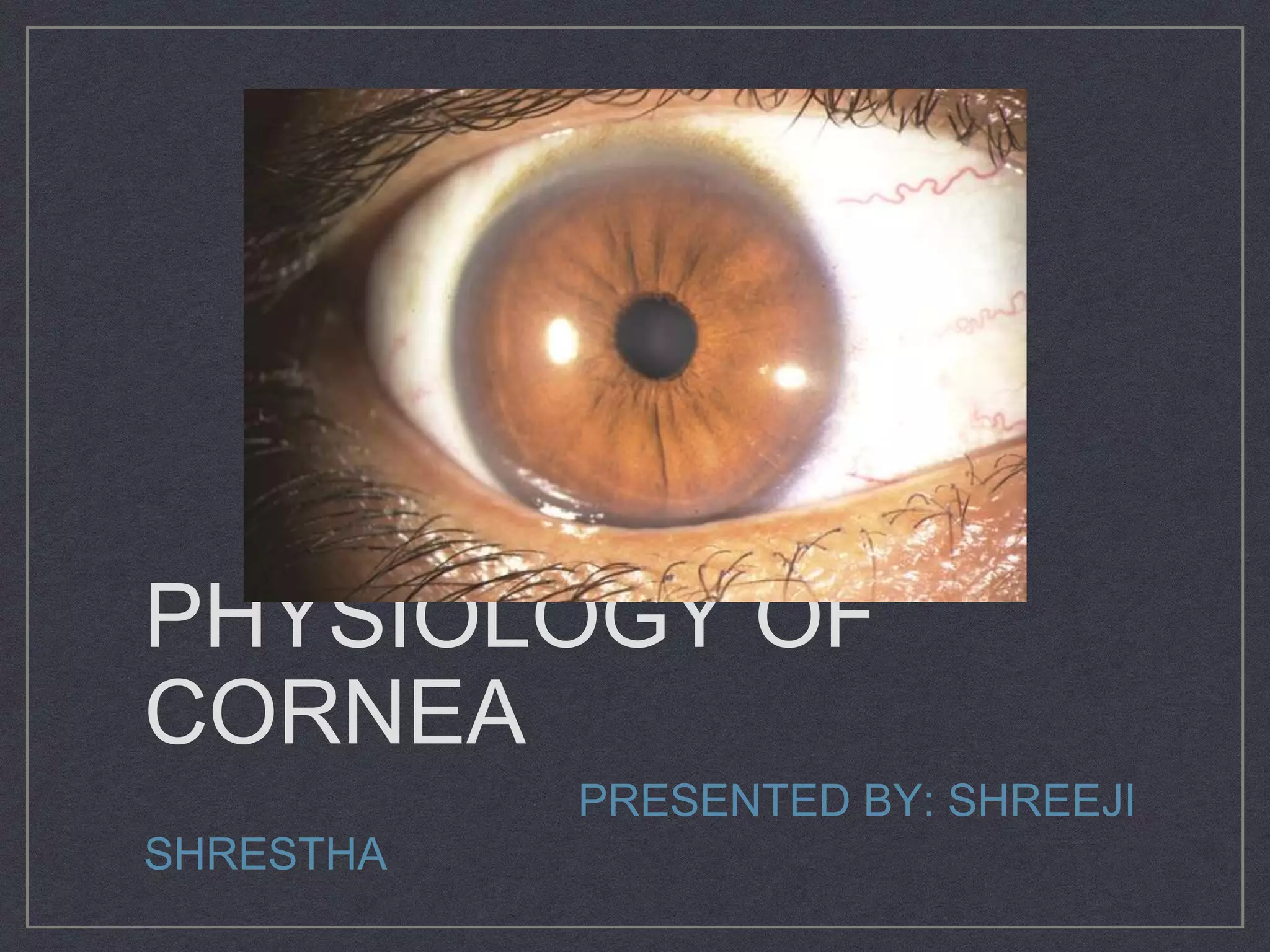 Physiology of cornea | PPTX