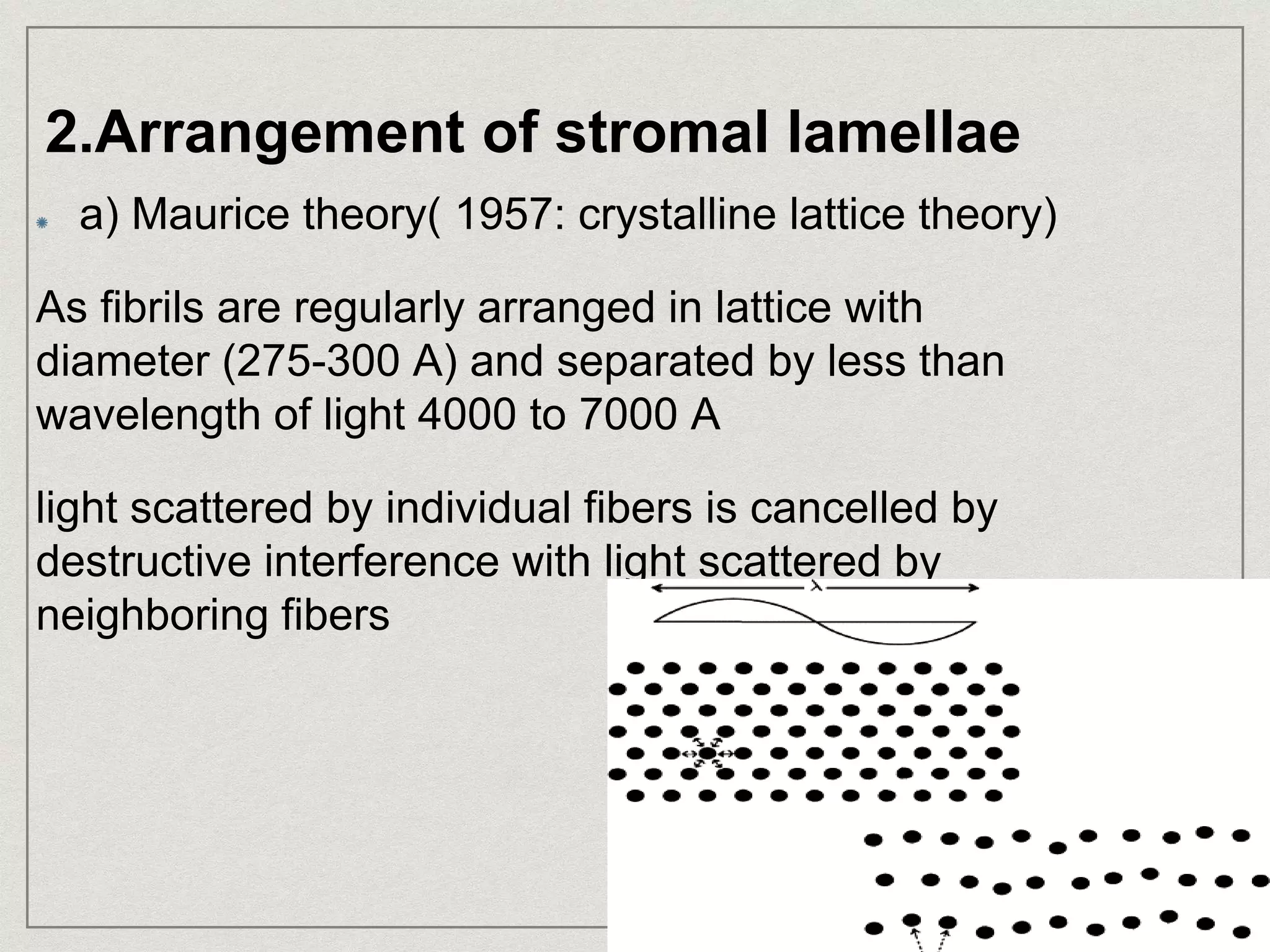 Physiology of cornea | PPTX