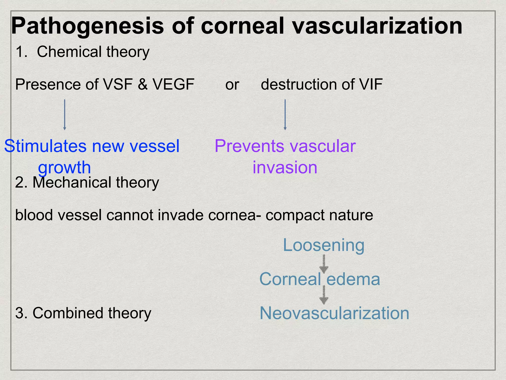 Physiology of cornea | PPTX
