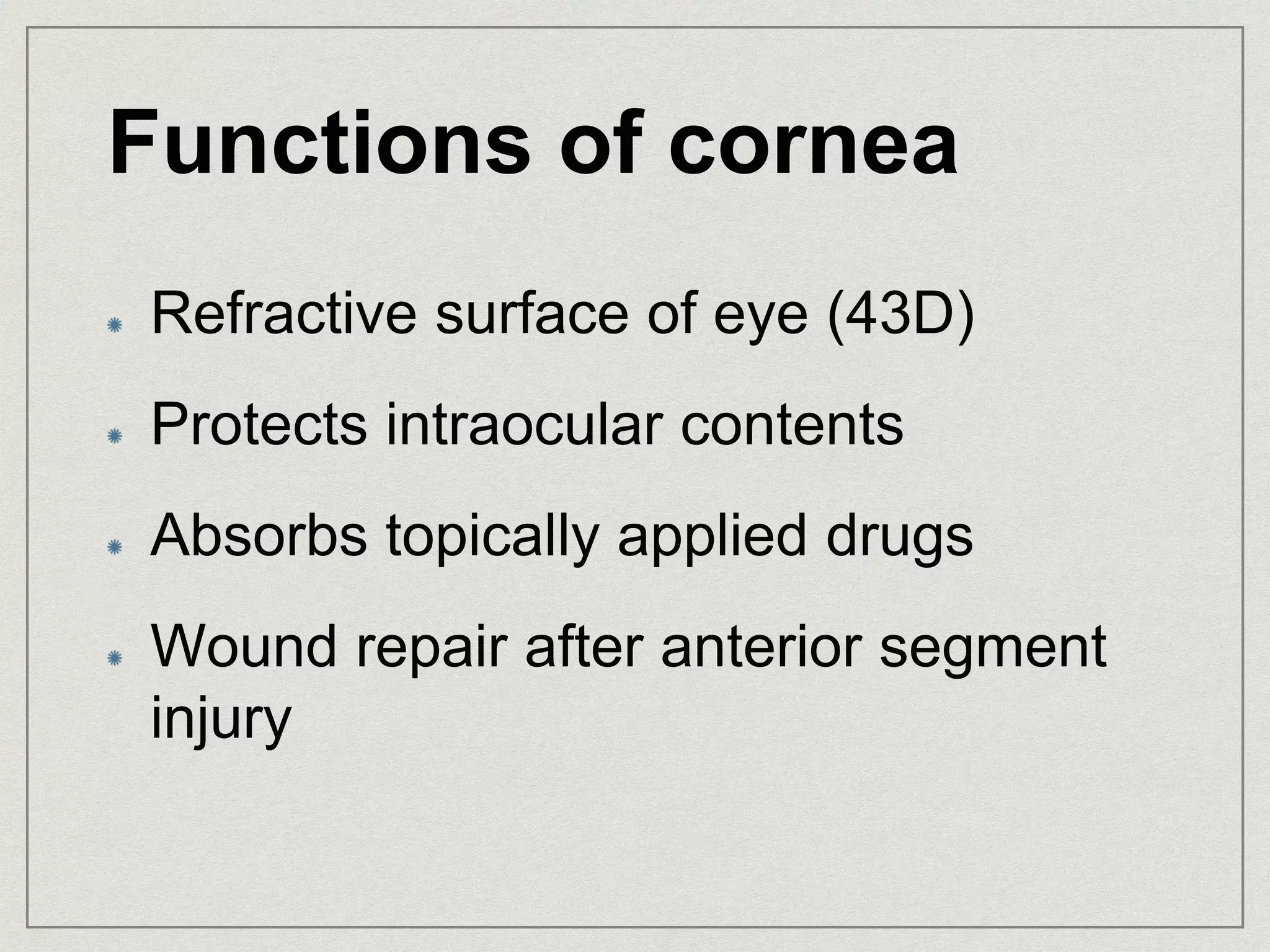Physiology of cornea | PPTX
