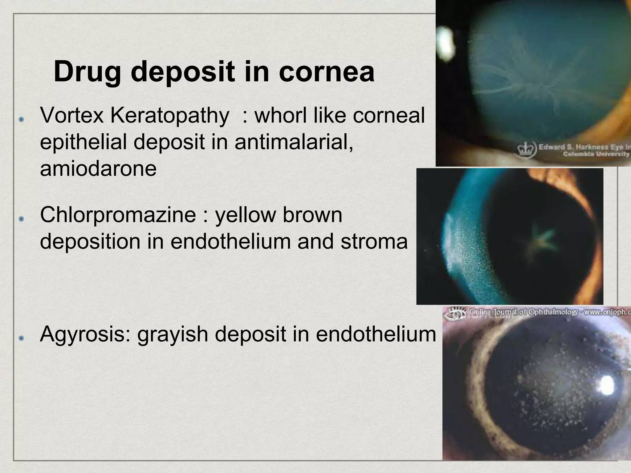 Physiology of cornea | PPTX