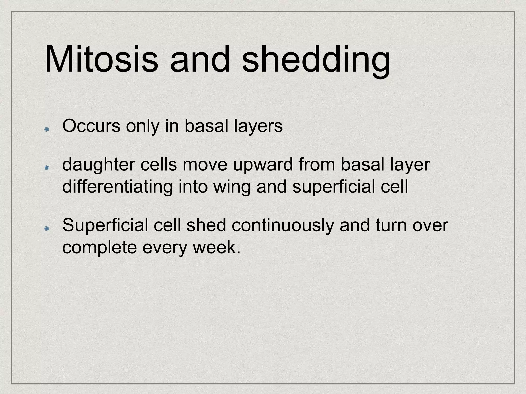 Physiology of cornea | PPTX