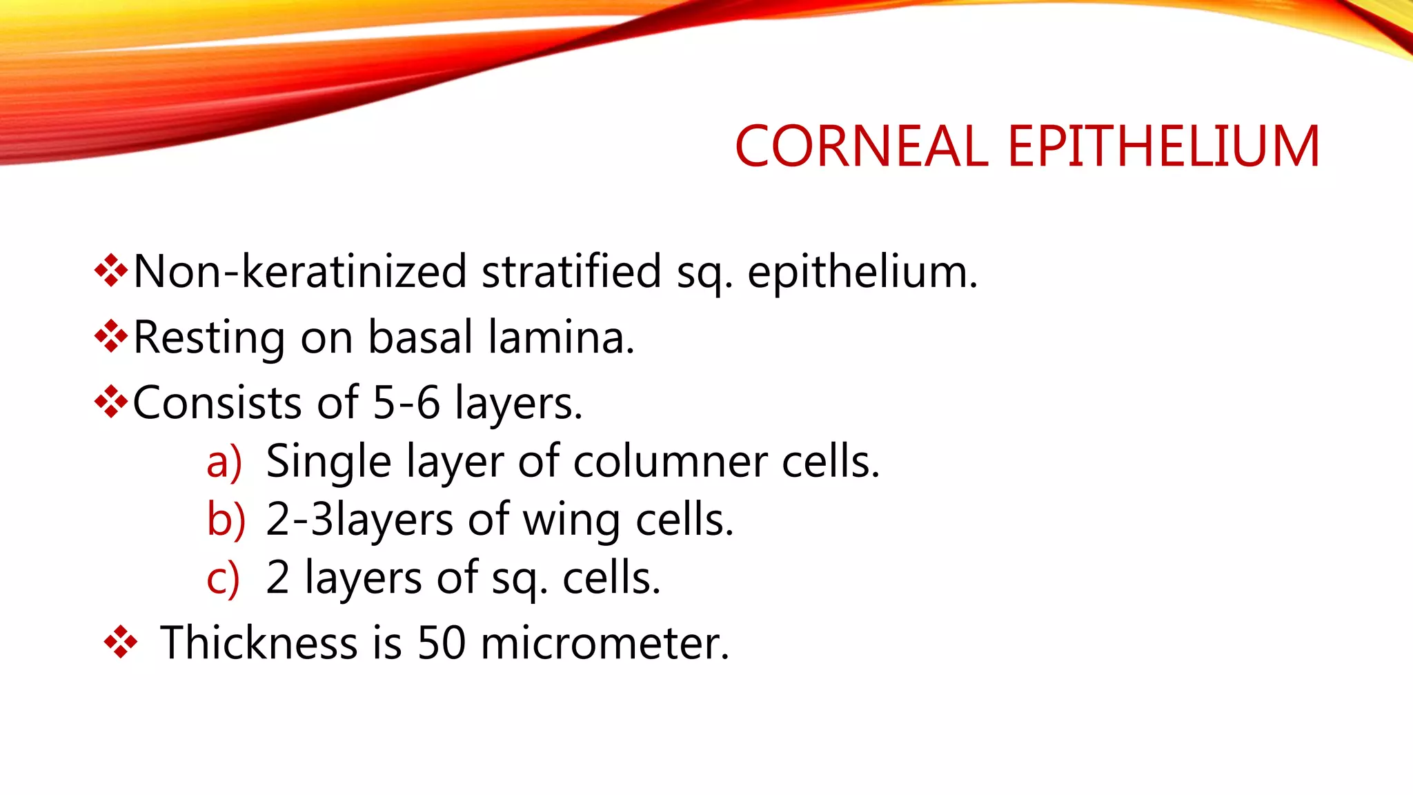 Physiology of cornea | PPTX