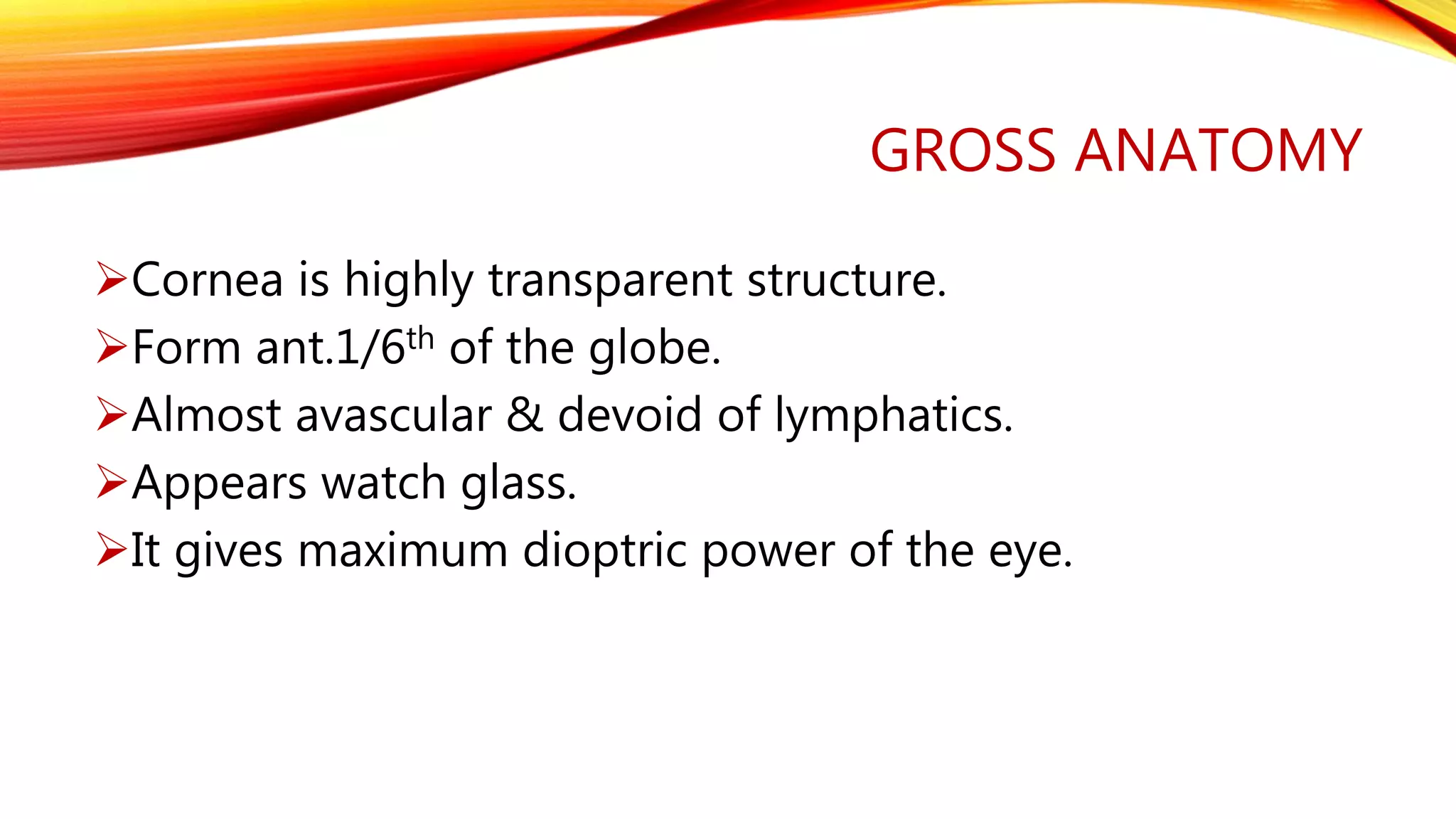 Physiology of cornea | PPTX