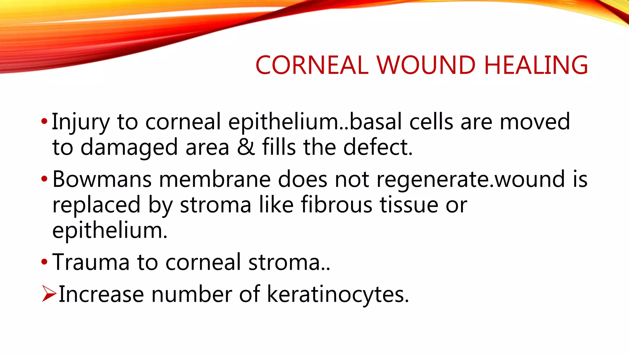 Physiology of cornea | PPTX