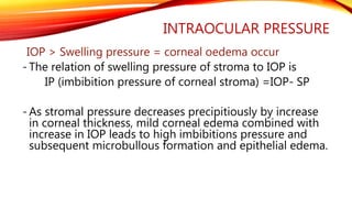 Physiology of cornea | PPTX