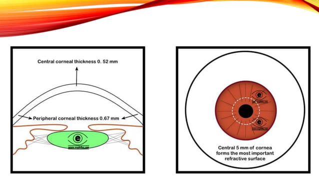 Physiology of cornea | PPTX