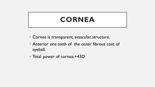 PHYSIOLOGY OF CORNEA FOR CONTACT LENS FITTING.pdf