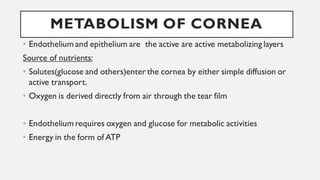 PHYSIOLOGY OF CORNEA FOR CONTACT LENS FITTING.pdf