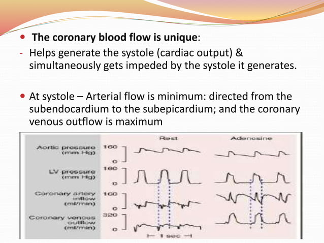 Physiology of coronary blood flow | PPTX | Heart and Cardiovascular ...