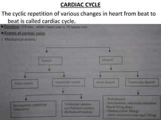 Physiology of Cardiovascular system | PPT