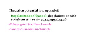 physiology of CVS lecture 1 | PDF | Heart and Cardiovascular Diseases ...