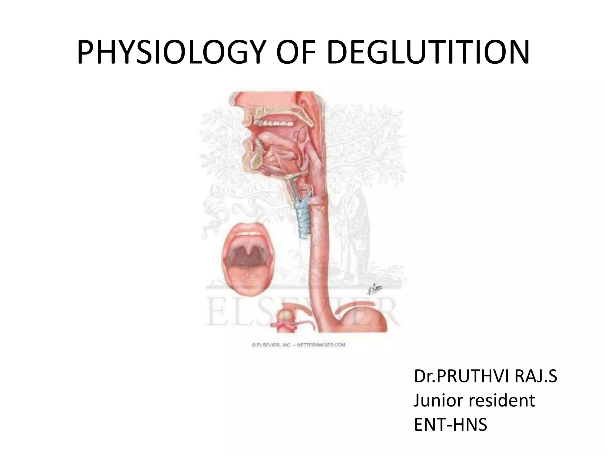 Physiology of deglutition | PPTX