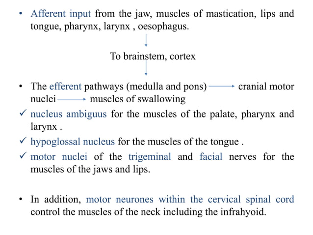 Physiology of deglutition | PPTX | Ear, Nose and Throat Conditions ...