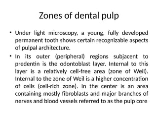 physiology of dental pulp & periapical tissues-1.pptx