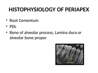 physiology of dental pulp & periapical tissues-1.pptx