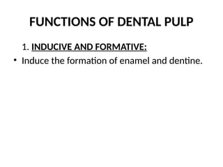 physiology of dental pulp & periapical tissues-1.pptx
