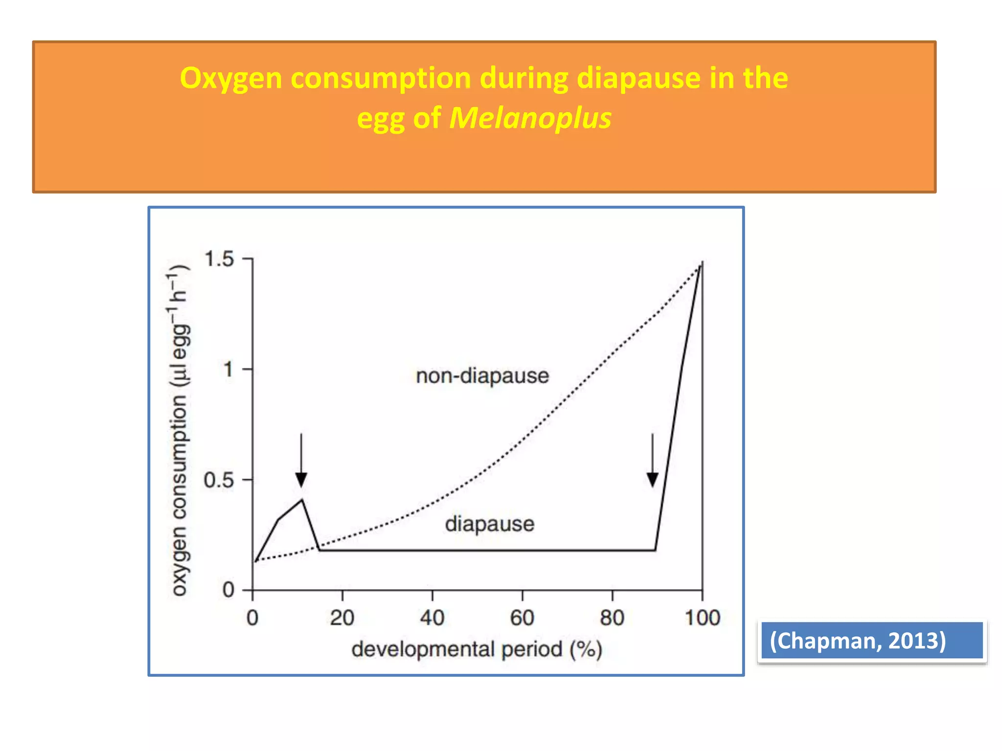 Physiology of Diapause.pptx