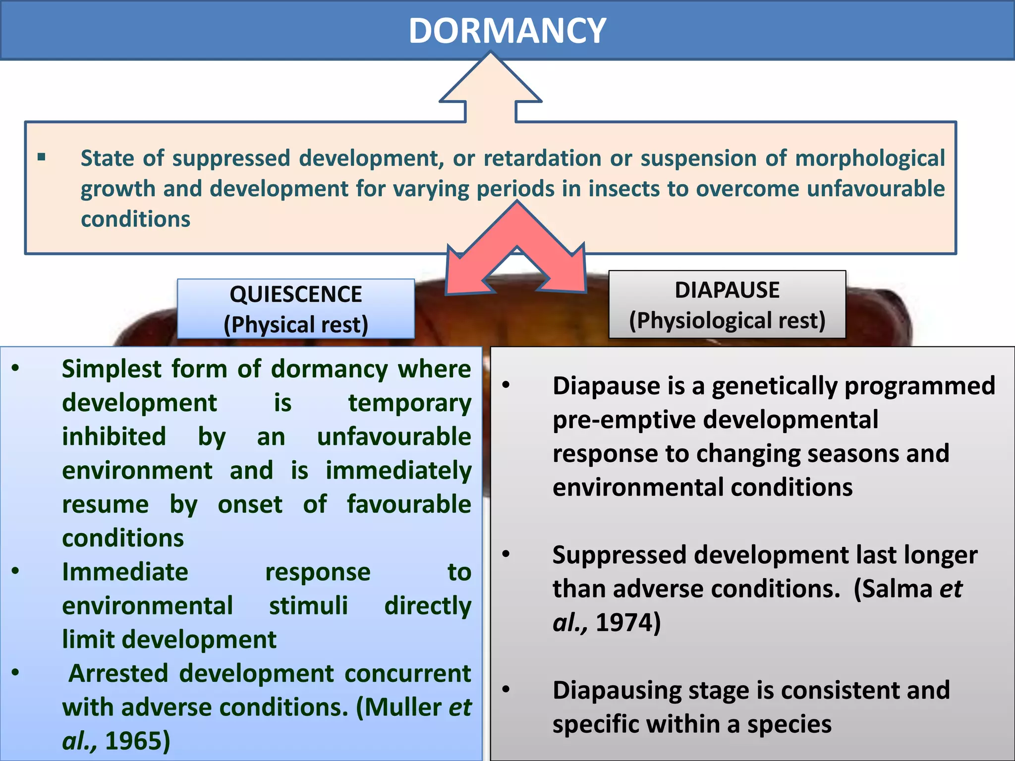 Physiology of Diapause.pptx