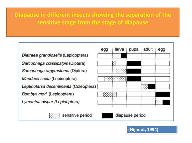 Physiology of Diapause.pptx