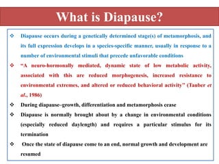Physiology of Diapause.pptx