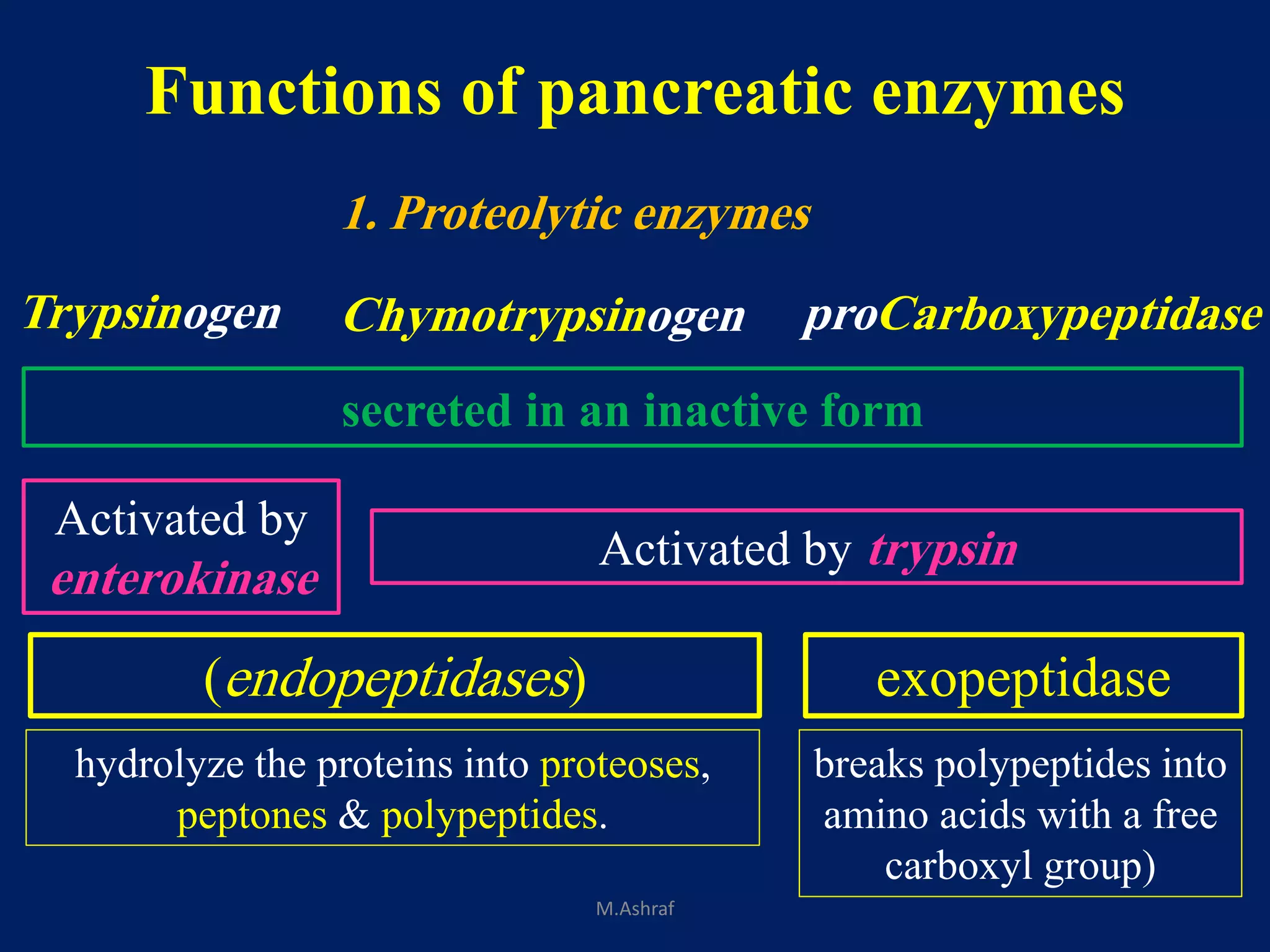 Physiology of digestion | PDF