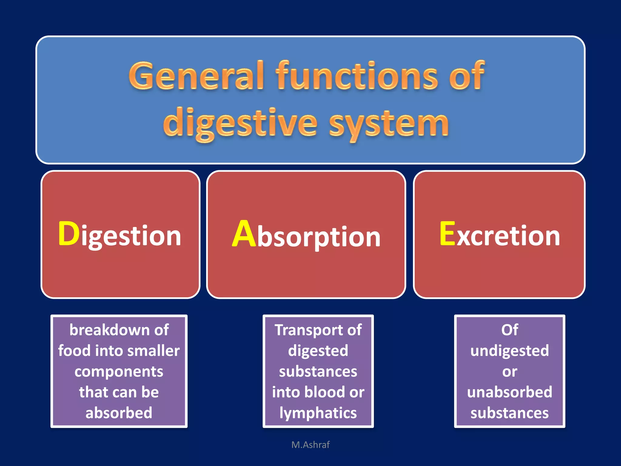 Physiology of digestion | PDF