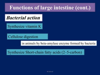 Physiology of digestion | PDF