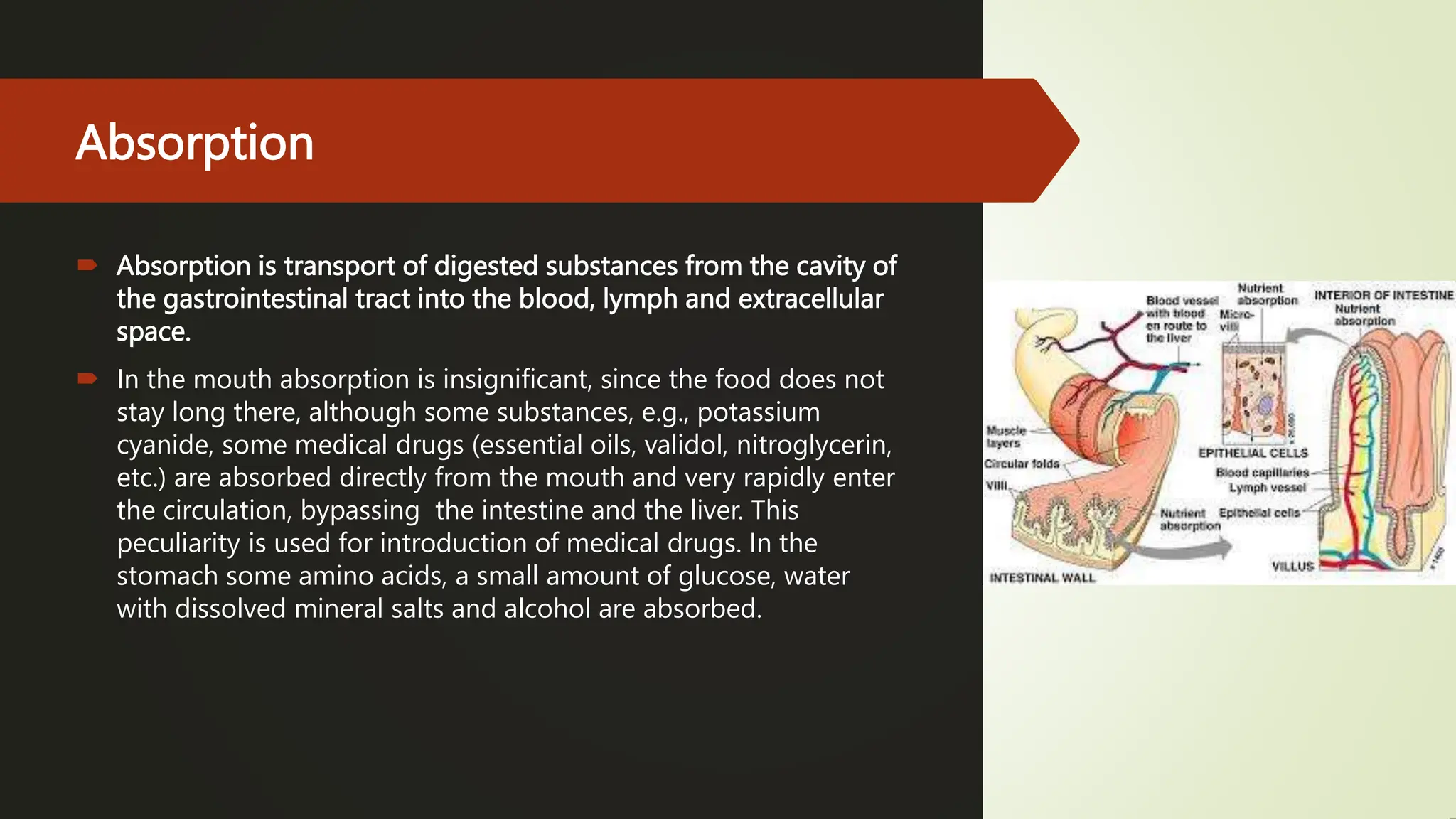 PHYSIOLOGY OF DIGESTION.digistive system | PPT