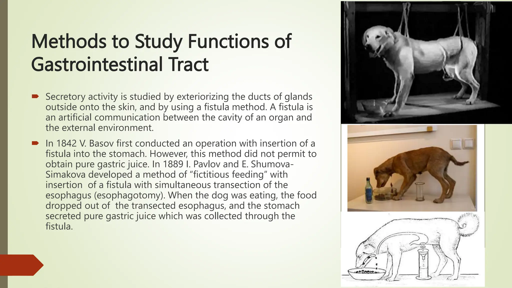 PHYSIOLOGY OF DIGESTION.digistive system | PPT