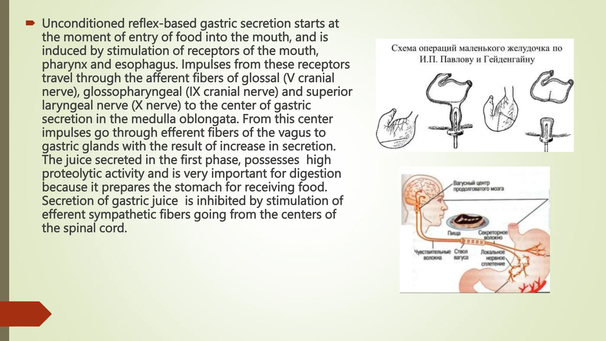 PHYSIOLOGY OF DIGESTION.digistive system | PPT