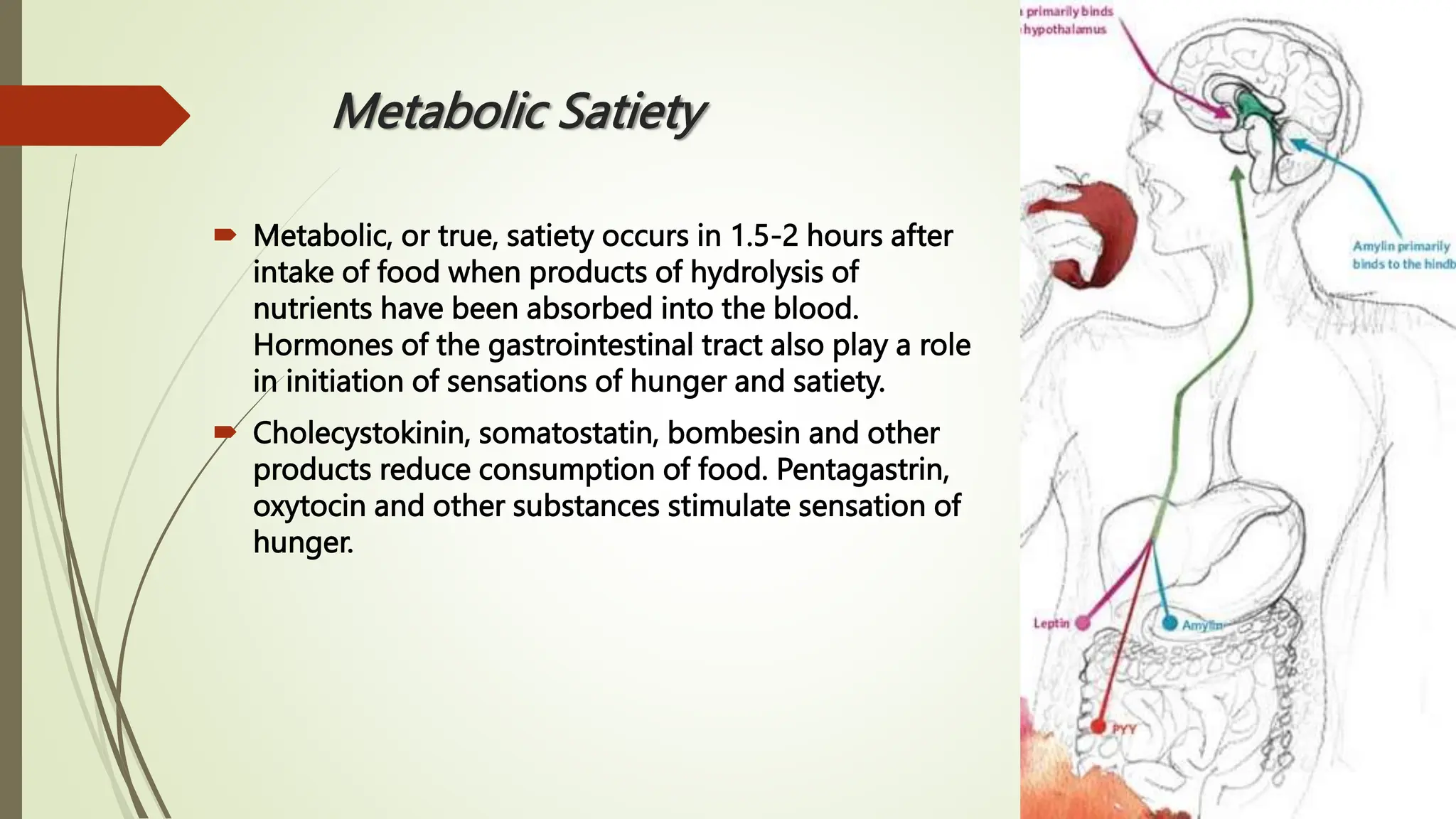 PHYSIOLOGY OF DIGESTION.digistive system | PPT