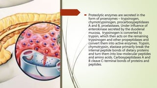 PHYSIOLOGY OF DIGESTION.digistive system | PPTX
