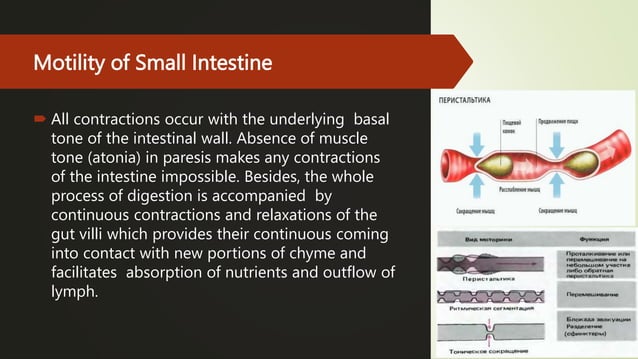 PHYSIOLOGY OF DIGESTION.digistive system | PPT