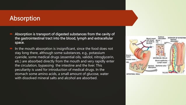 PHYSIOLOGY OF DIGESTION.digistive system | PPT