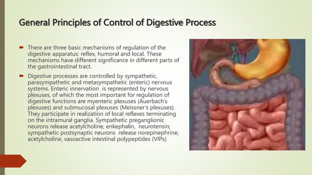 PHYSIOLOGY OF DIGESTION.digistive system | PPT