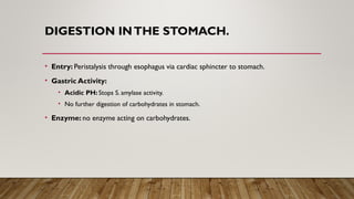 GASTROINTESTINAL SYSTEM. PHYSIOLOGY OF DIGESTION.ppt