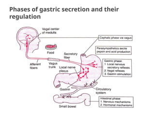 Physiology of digestions, absorption & assimilation | PPTX