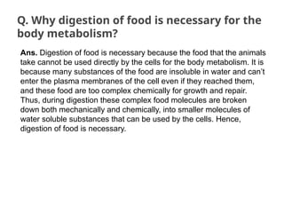 Physiology of digestions, absorption & assimilation | PPTX