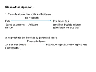 Physiology of digestions, absorption & assimilation | PPTX