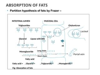 Physiology of digestions, absorption & assimilation | PPTX