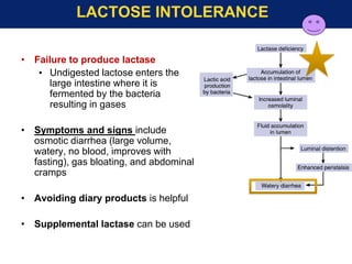 Physiology of digestion_10_01_2019_physiology (1) | PDF