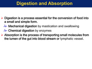 Physiology of digestion_10_01_2019_physiology (1) | PDF