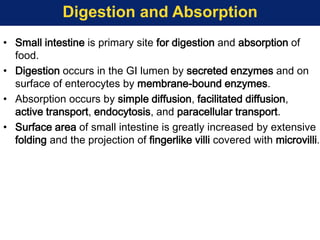Physiology of digestion_10_01_2019_physiology (1) | PDF